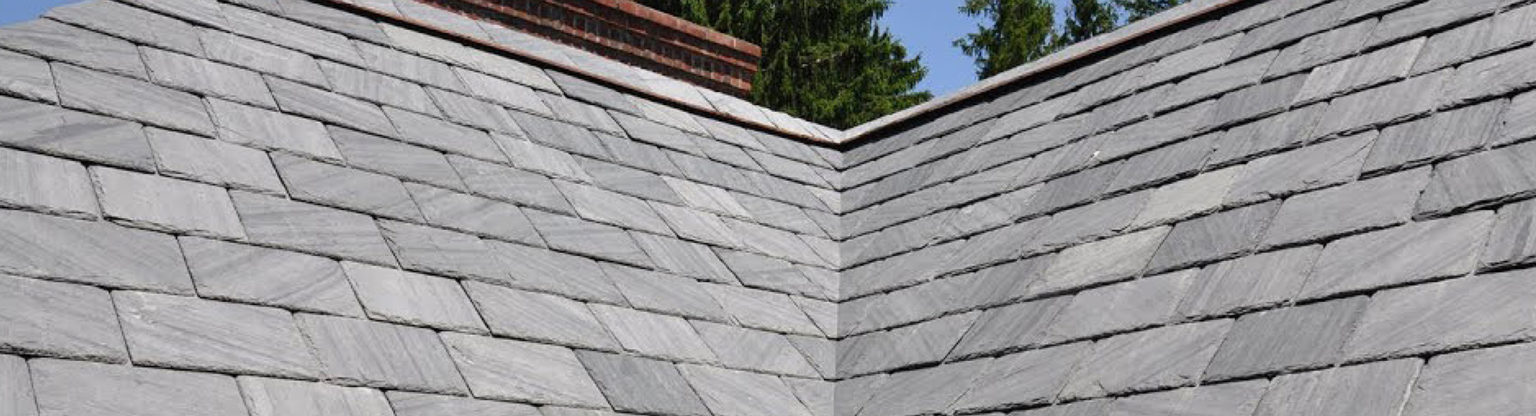 New Heritage Valley | Filon