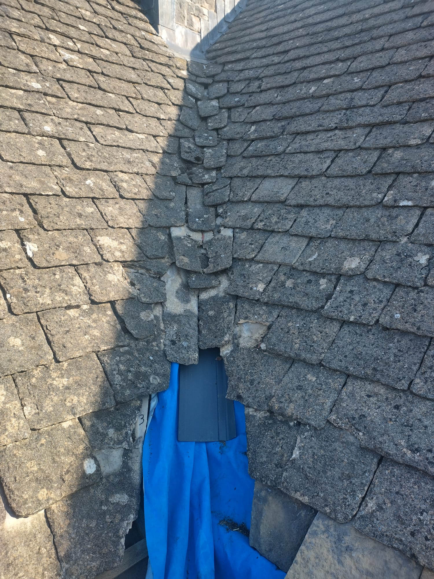 Heritage Valley Case study | Filon